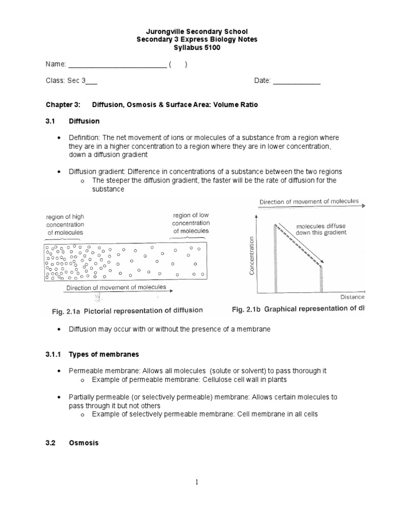 Chapter 3 Diffusion & Osmosis - Lecture Notes | PDF | Osmosis | Cell ...