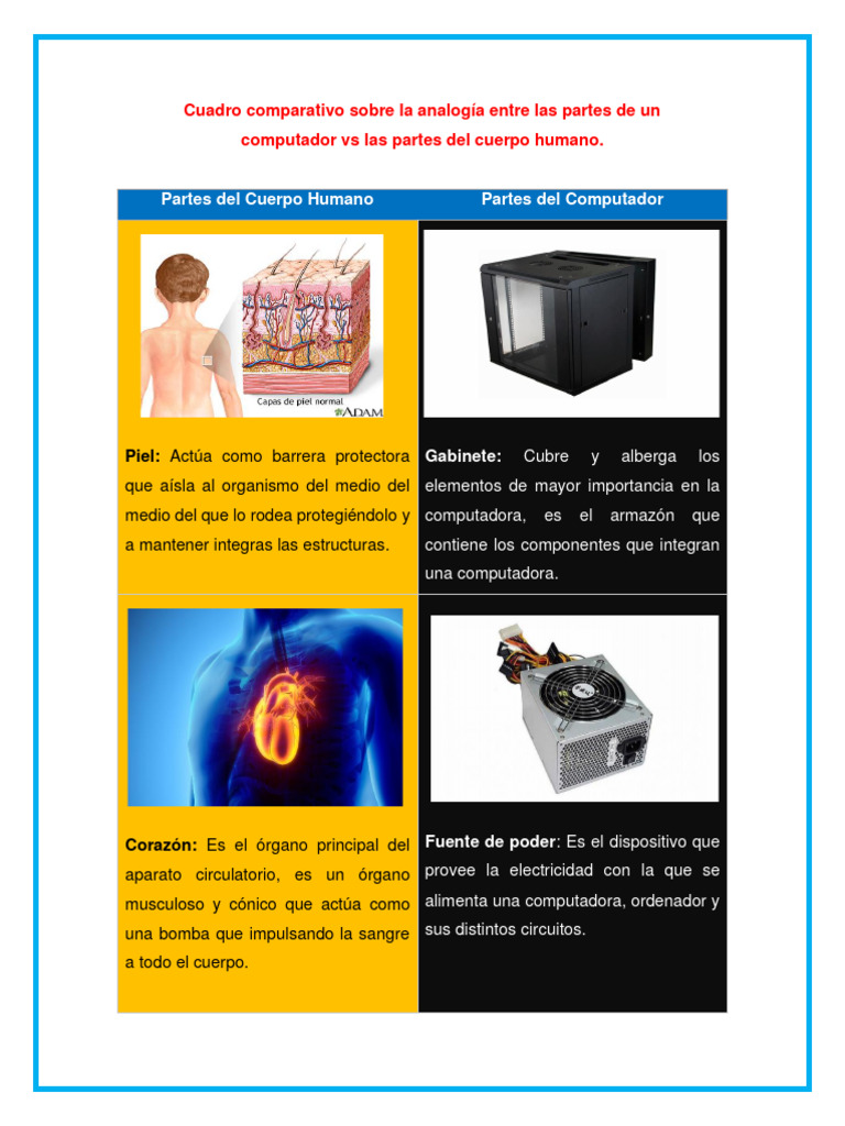 Afiche-Cuadro comparativo sobre la analogía del computador vs el cuerpo ...