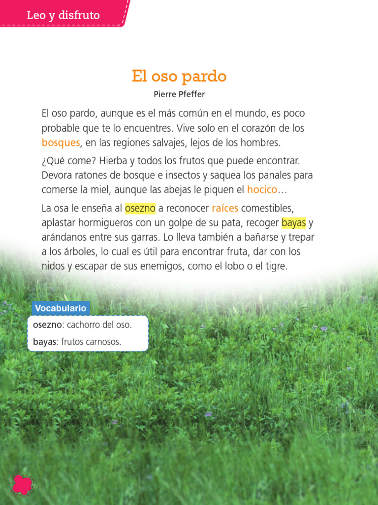 Oso pardo: hábitat y comportamiento | PDF | Ciencia y matemáticas | Poesía