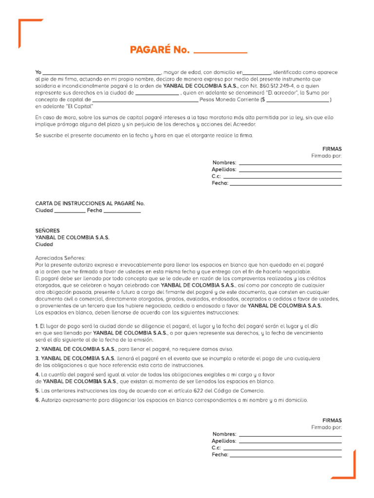 Formato Pagare | PDF