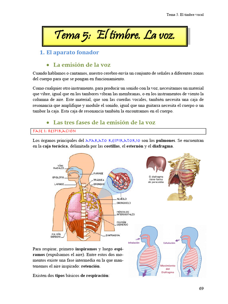 Tipos y características del timbre vocal | PDF | Coro | Respiración