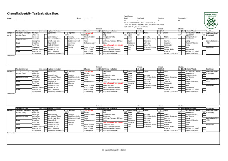 Tea Cupping Evaluation Sheet | PDF | Tea | Taste