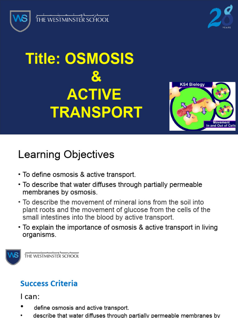 Osmosis Active Transport | PDF | Osmosis | Cell Membrane
