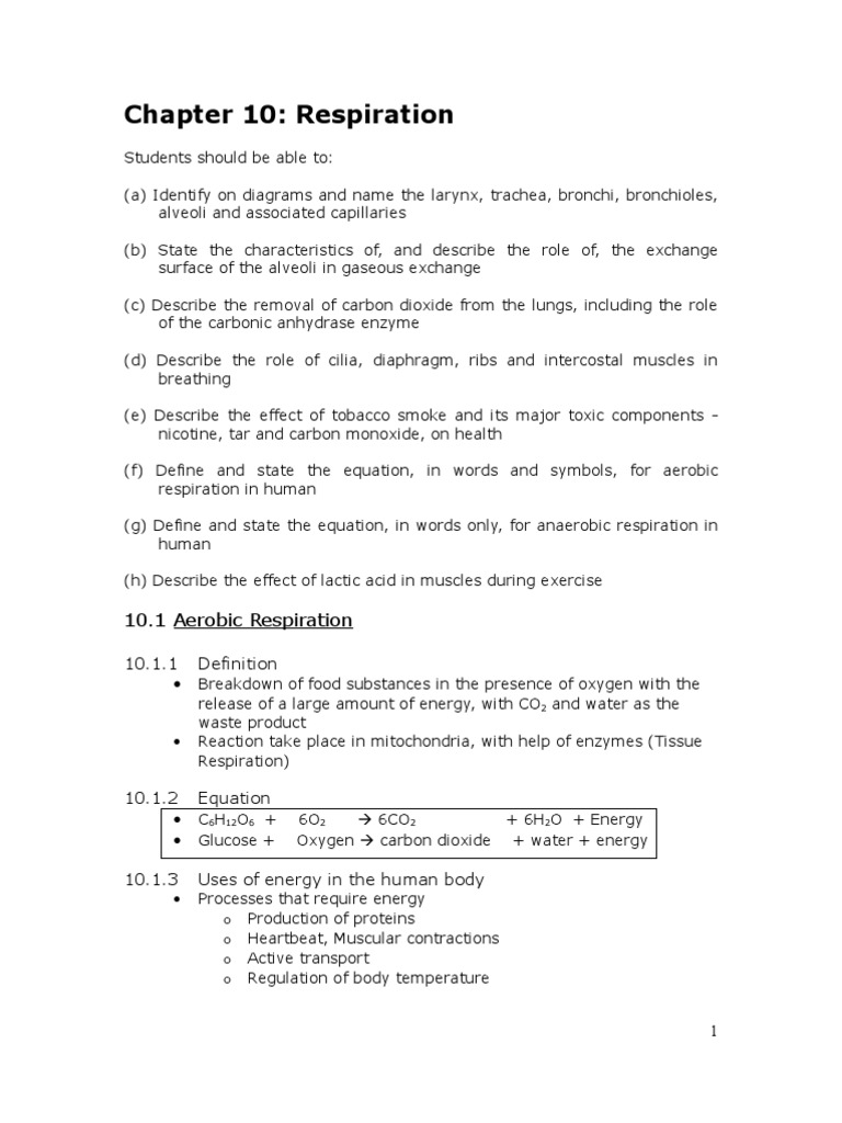 Chapter 10 Respiration - Lecture Notes | PDF | Lung | Breathing