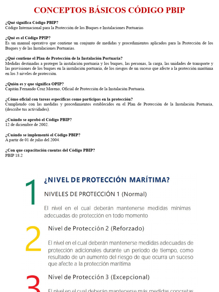 Conceptos Básicos Código Pbip | PDF