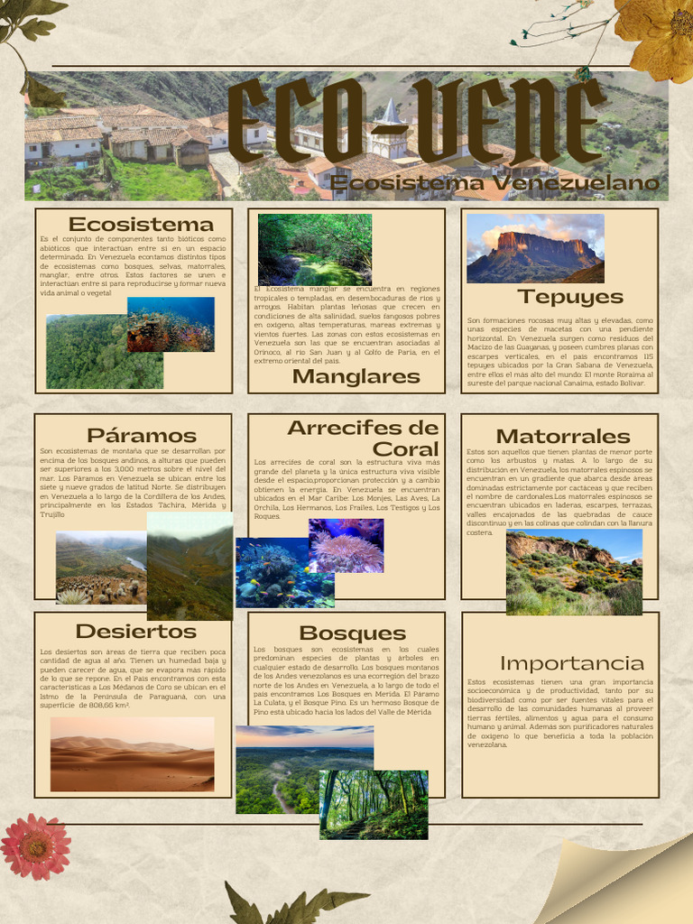 Eco Vene, Ecosistemas Venezuela - 20240419 - 171349 - 0000 | PDF | Ecosistema | Mangle