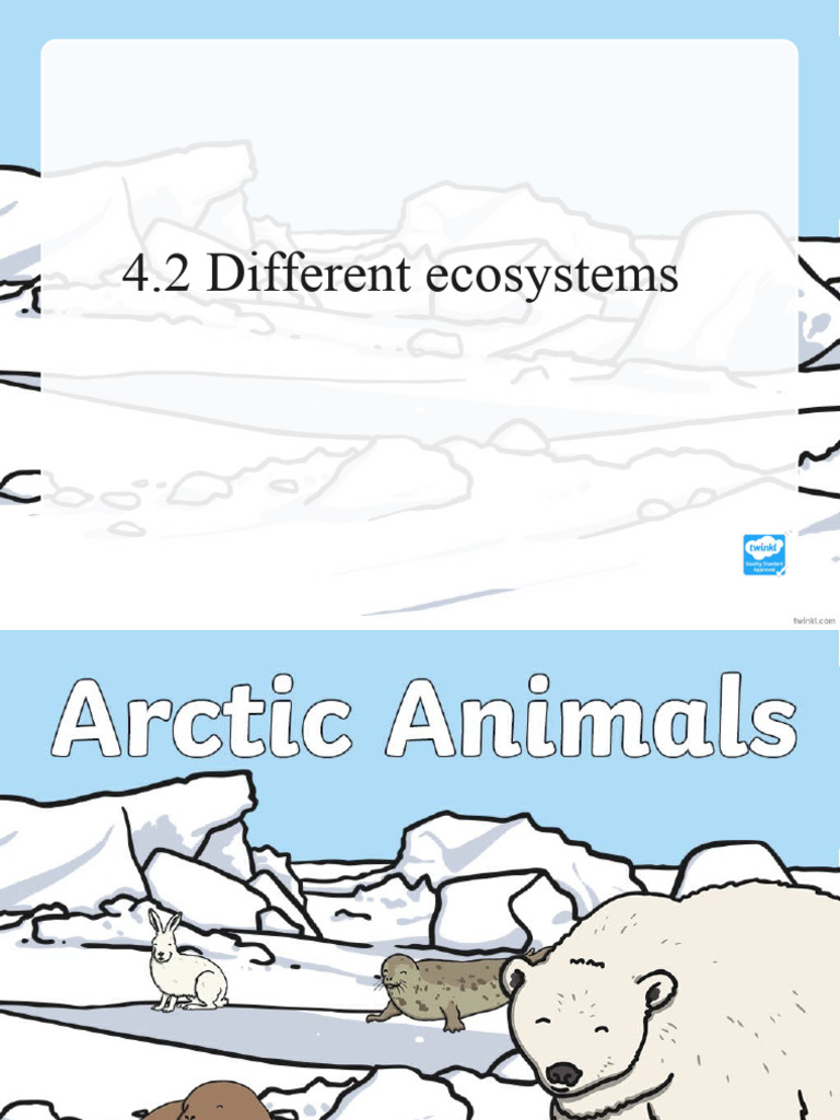 Arctic Animals | PDF | Pinniped | Bears