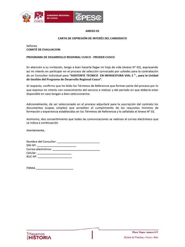 Carta de Expresión de Interés - Consultor Vial | PDF | Finanzas y ...