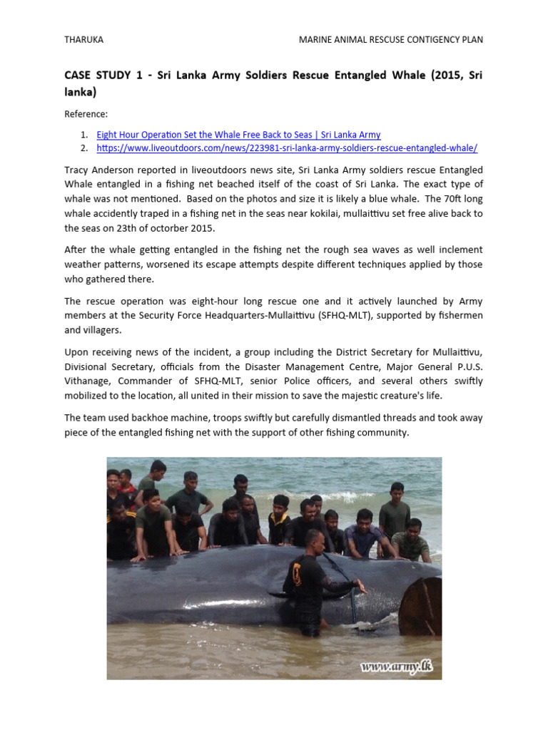 Case Study 1 | PDF | Whales | Dolphin