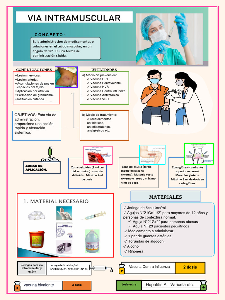 Zonas y Dosis para Inyección Intramuscular | PDF | Medicamentos con ...