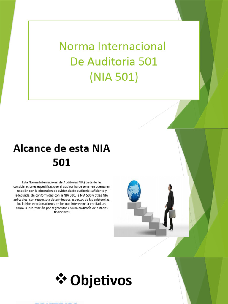 NIA 501: Evidencia en Auditoría Financiera | PDF | Auditoría | Contralor