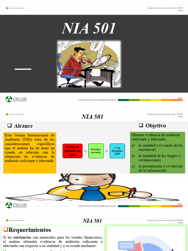 Nia 501 | PDF | Auditoría | Contralor
