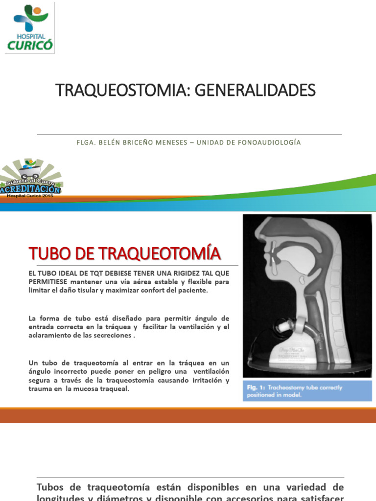 TQT Generalidades | Descargar gratis PDF | Especialidades Medicas ...