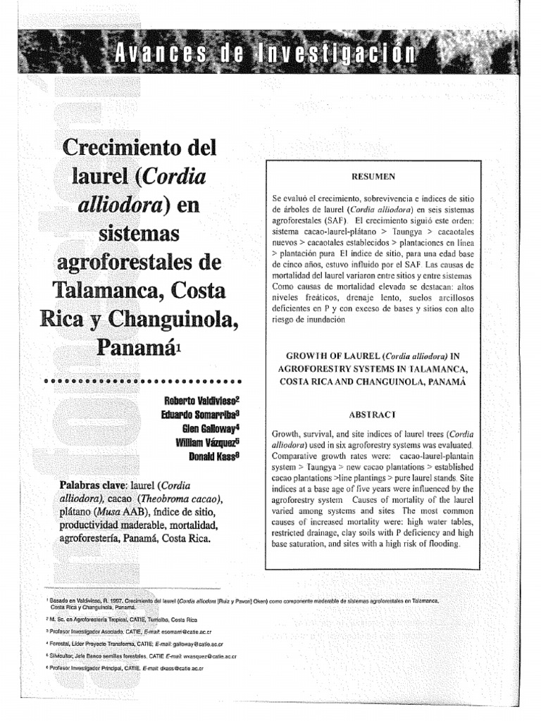 Crecimiento Del Laurel | PDF