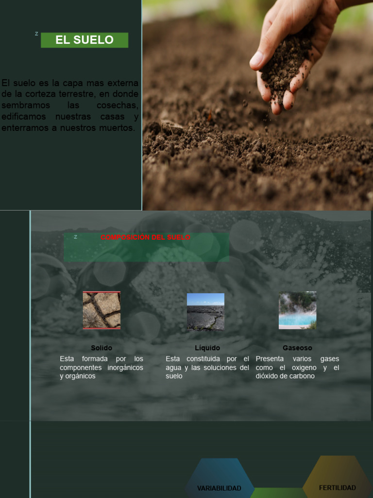 Tipos de Suelos | PDF