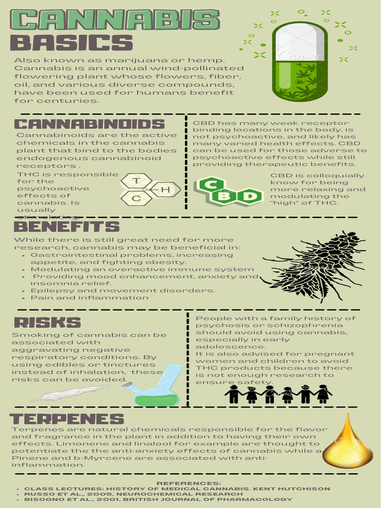 Cannabis Infographic | PDF | Medical Cannabis | Cannabis