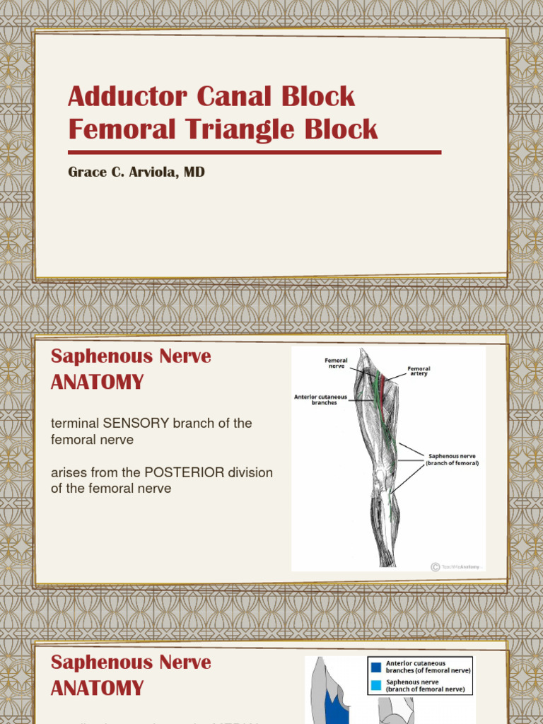 Adductor Canal + Femoral Triangle Block | PDF | Science & Mathematics ...
