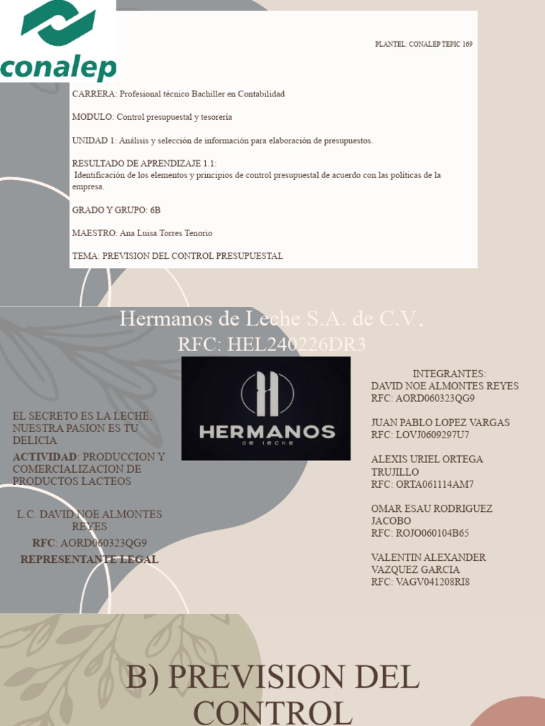 Presentacion Control Presupuestal | PDF | Presupuesto | Business