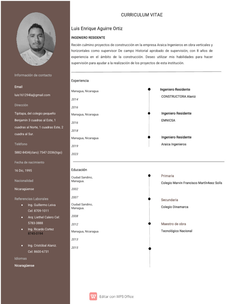 Curriculum VITAE Luis | PDF