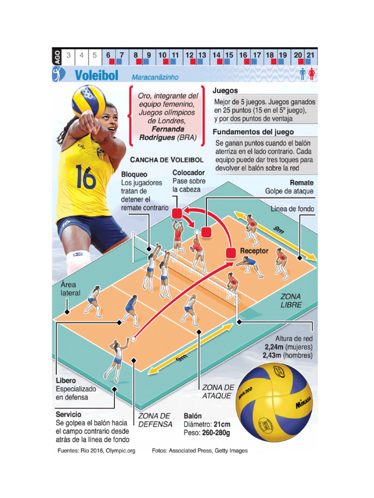 Cuáles Son Las Posiciones en El Vóleibol | Descargar gratis PDF | Vóleibol