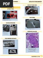 Cell Block | PDF | Cytopathology | Staining