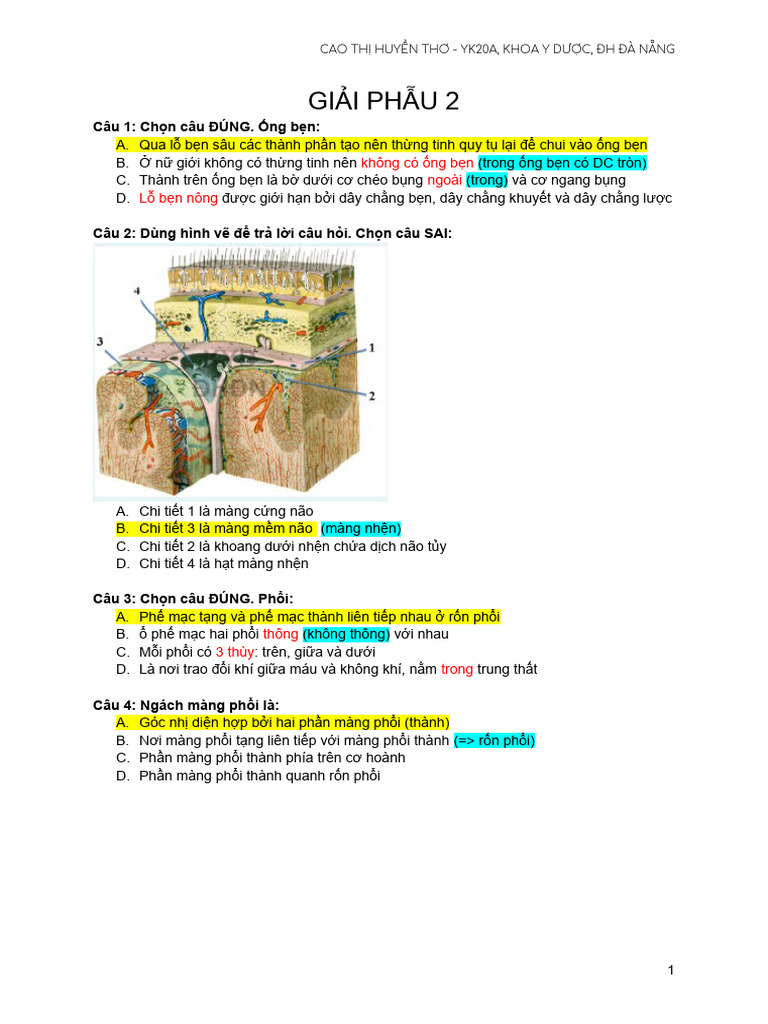 Đề cuối kỳ GP2 2020 | PDF