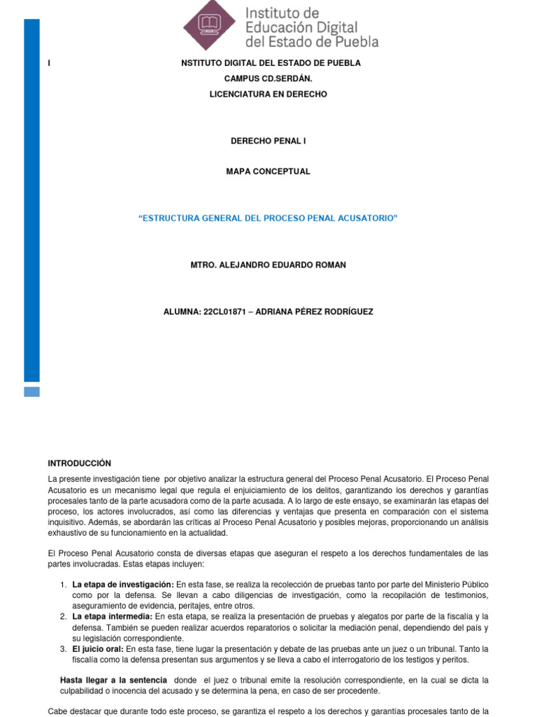 ESQUEMA ETAPAS DEL PROCESO PENAL | PDF | Derecho penal | Sentencia (ley)