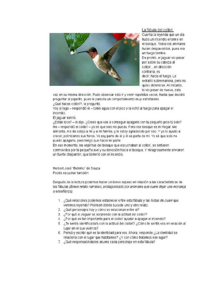 Fabula Del Colibri | PDF