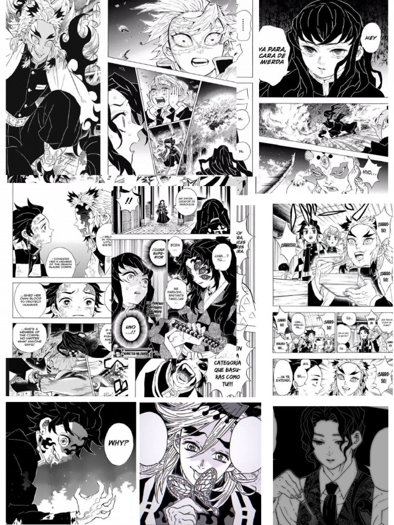Paneles Demon Slayer | PDF