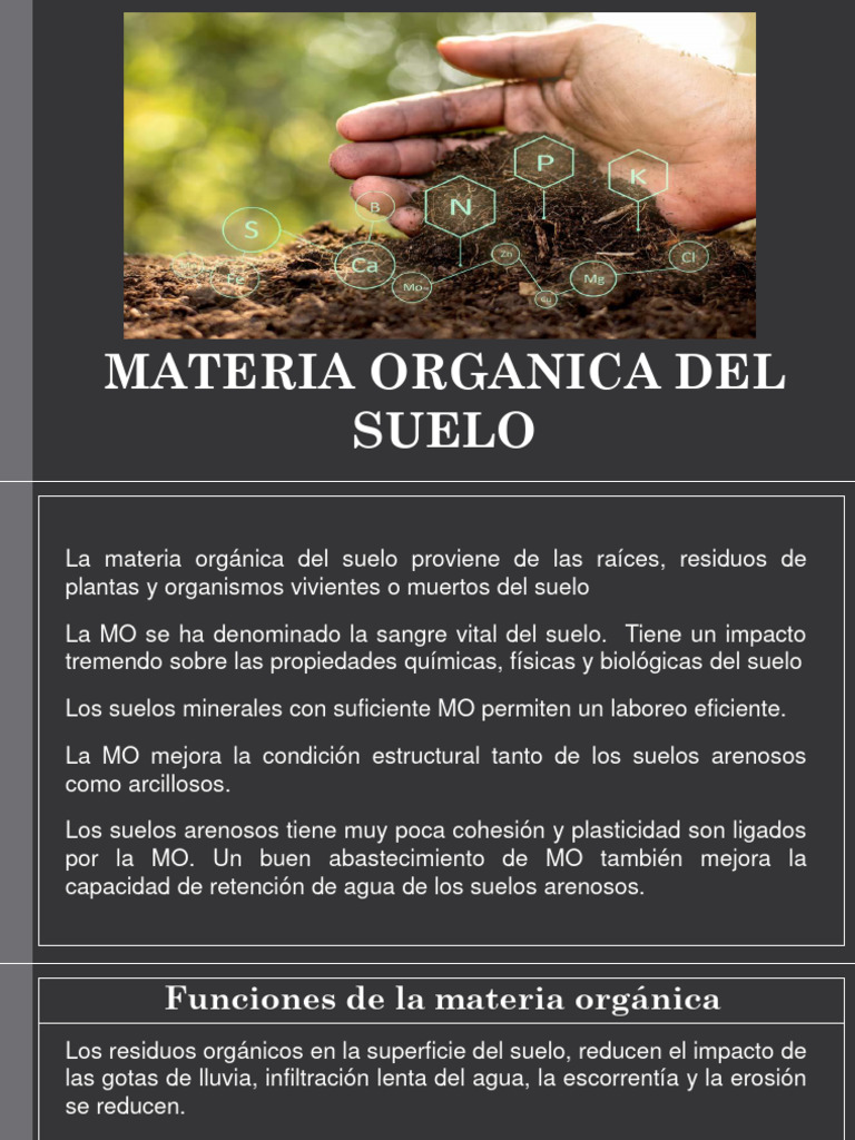06a Materia Organica Del Suelo | Descargar gratis PDF | Suelo | Agua