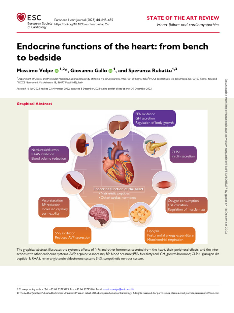 Endocrine Functions of The Heart From Bench To Bedside | Download Free ...