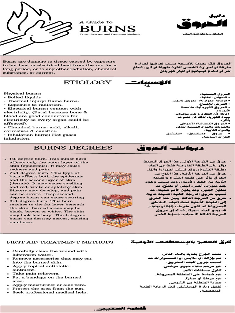 Skin Burns | PDF