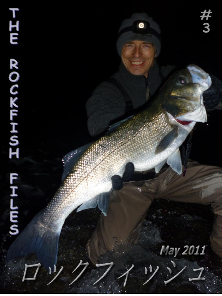 The Rockfish File #3 | PDF