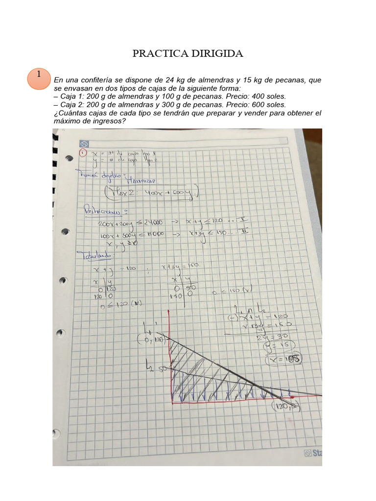 Practica Dirigida | PDF