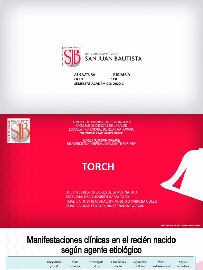 TORCH | PDF | Epidemiología | Ciencias de la Salud