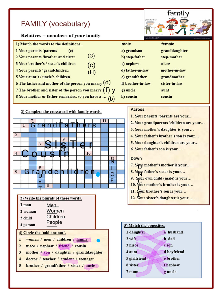 Edited - The Family (Vocabulary) Exercise 1 | PDF | Grandparent | Family