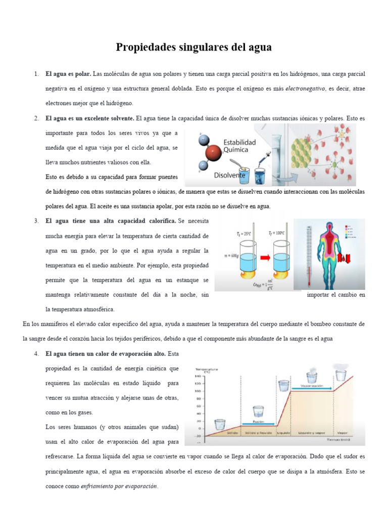 Propiedades Del Agua | PDF | Propiedades del agua | Polaridad química