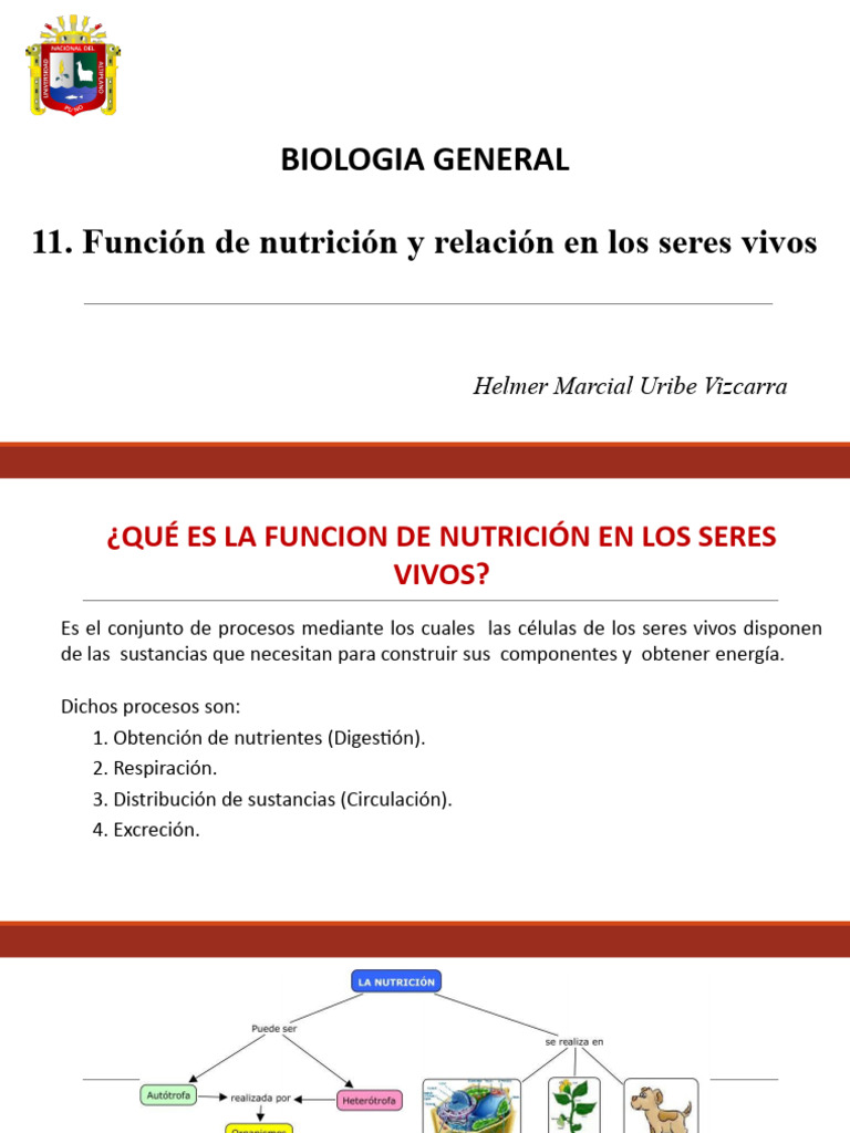 Función de nutrición en seres vivos | PDF | Sentidos | Sistema nervioso