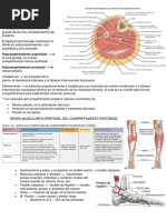 Lower Extremity Functional Scale-Spanish - 250206 - 155008 | PDF