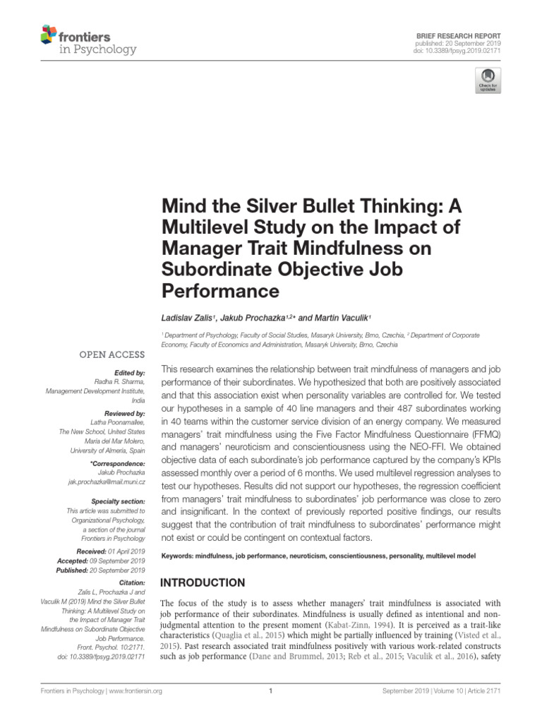 Mind The Silver Bullet Thinking: A Multilevel Study On The Impact of ...