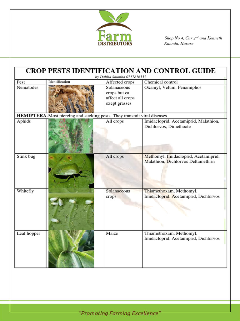 Pest Identification Guide - 011919 | PDF | Pest (Organism ...