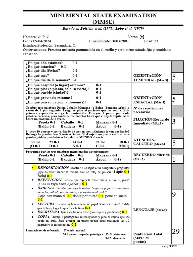 Protocolo Mini Mental | PDF