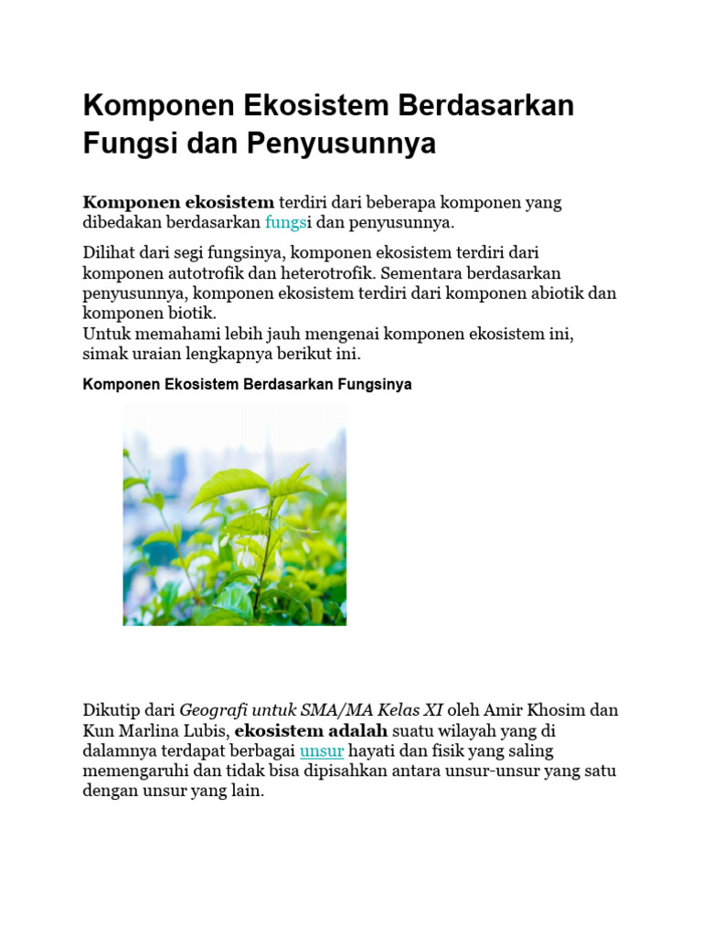 Komponen Ekosistem Berdasarkan Fungsi Dan Penyusunnya | PDF | Sains ...