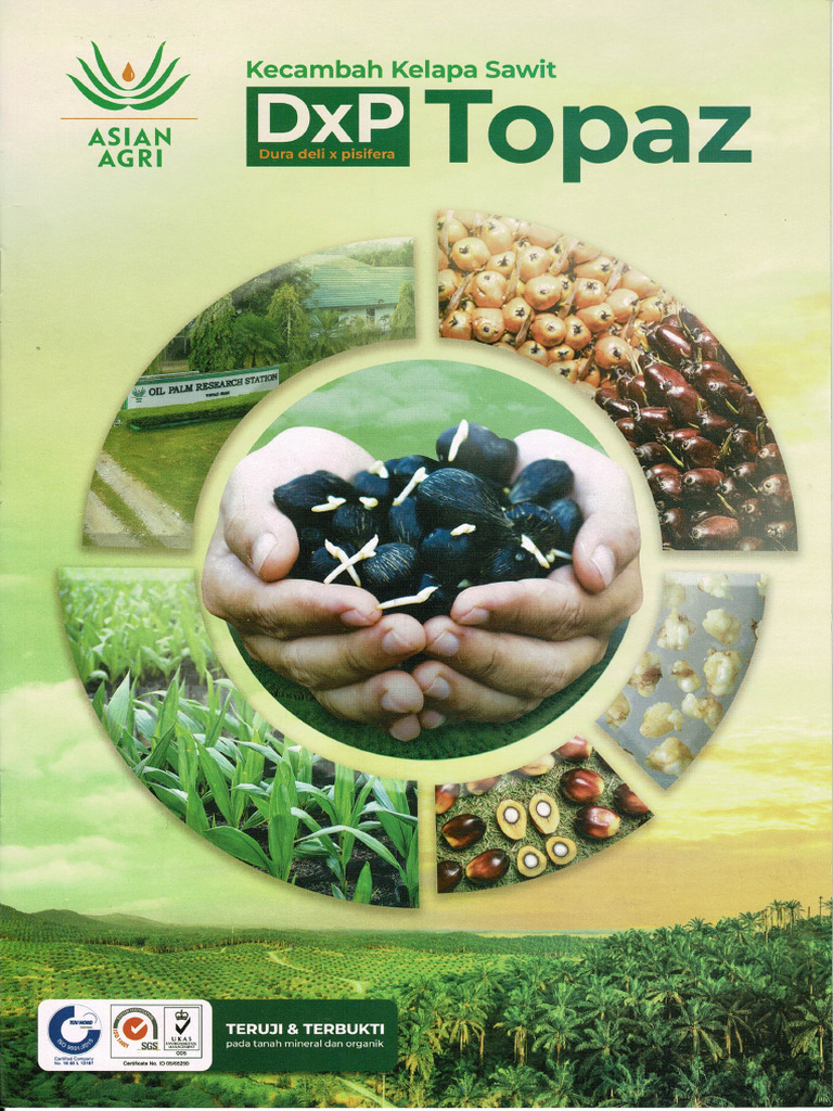 Brochure Asian Agri | PDF