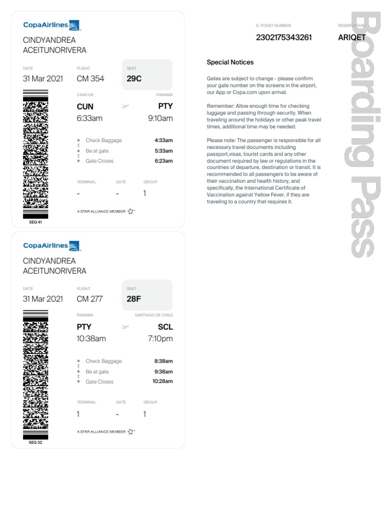 cindy | PDF | Baggage