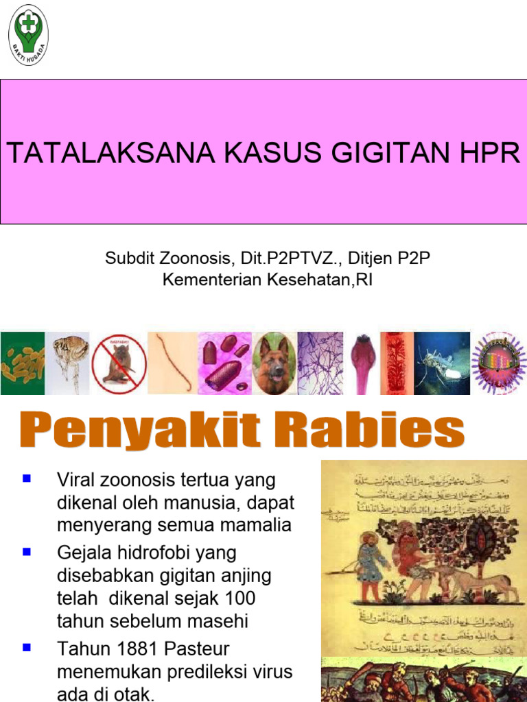 Tatalaksana Rabies | PDF