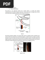 Biomicroscopía: Técnicas y Aplicaciones | PDF | Córnea | Ojo