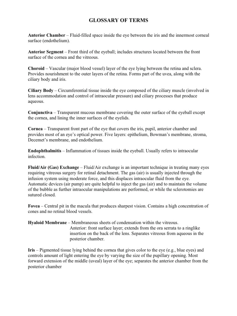 Glossary of terms | PDF | Human Eye | Retina
