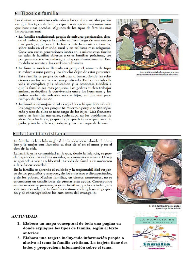 Tipos de Familia Grado 7 | PDF