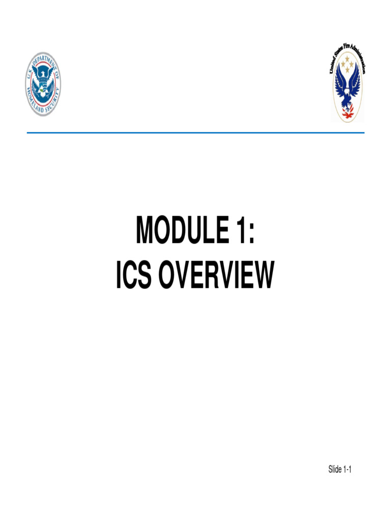 ICS OVERVIEW | PDF | Incident Command System | Emergency Management
